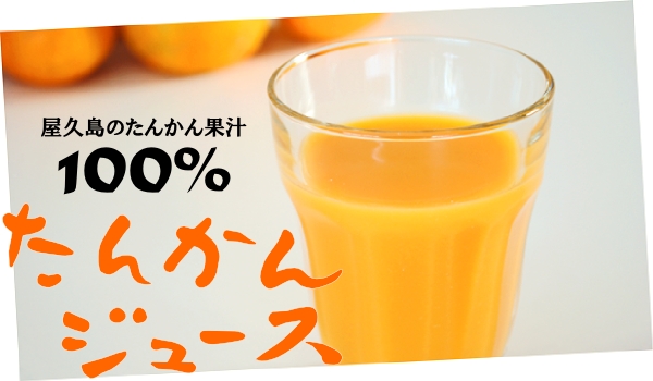 屋久島ふれあい食品|こだわり